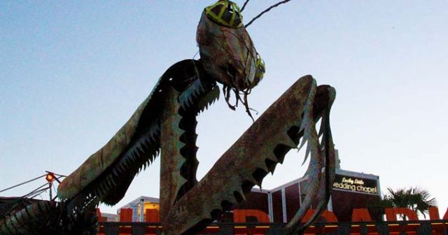 Las Vegas Hidden Attractions: Unique Things to do in Vegas